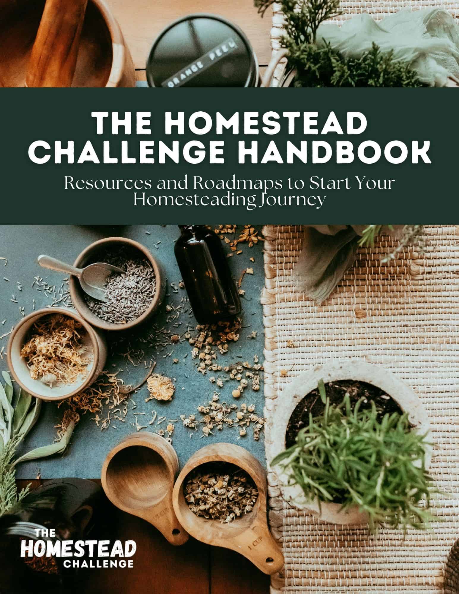 Safe and Effective Herbs for Kids (With Free Printable) - The Homestead ...