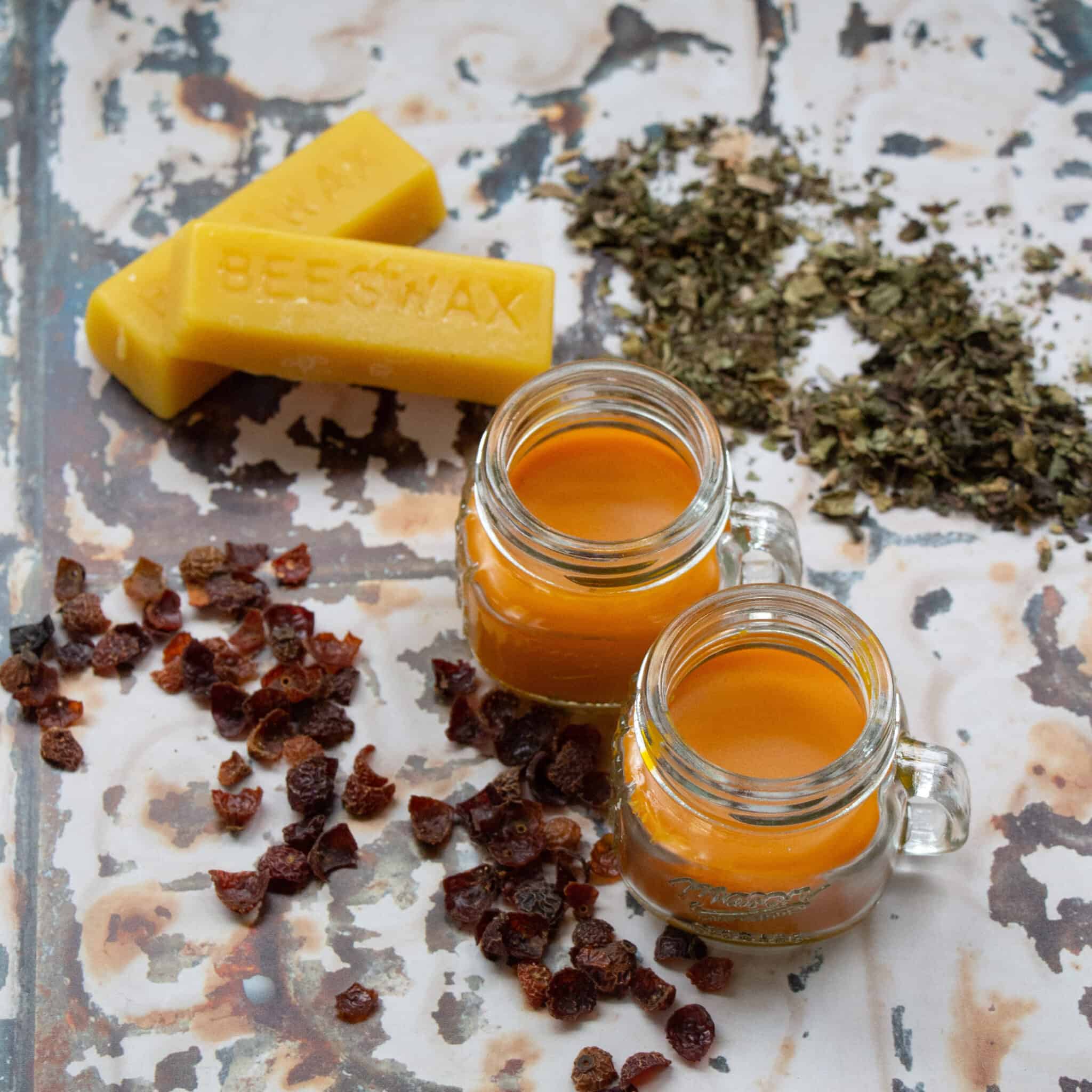 Safe and Effective Herbs for Kids (With Free Printable) - The Homestead ...