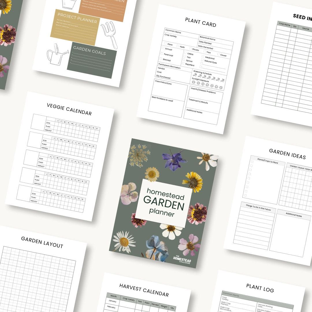 Free Garden Planner Printable for Beginners - The Homestead Challenge