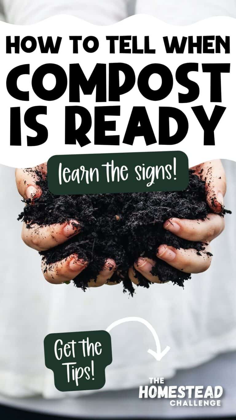 How Do You Know When Compost is Ready? Identifying Perfectly Cured ...