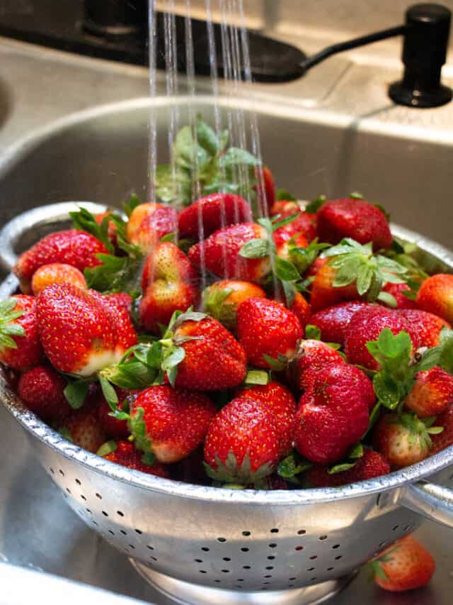 How to Store and Preserve Freshly Picked Strawberries - The Homestead ...