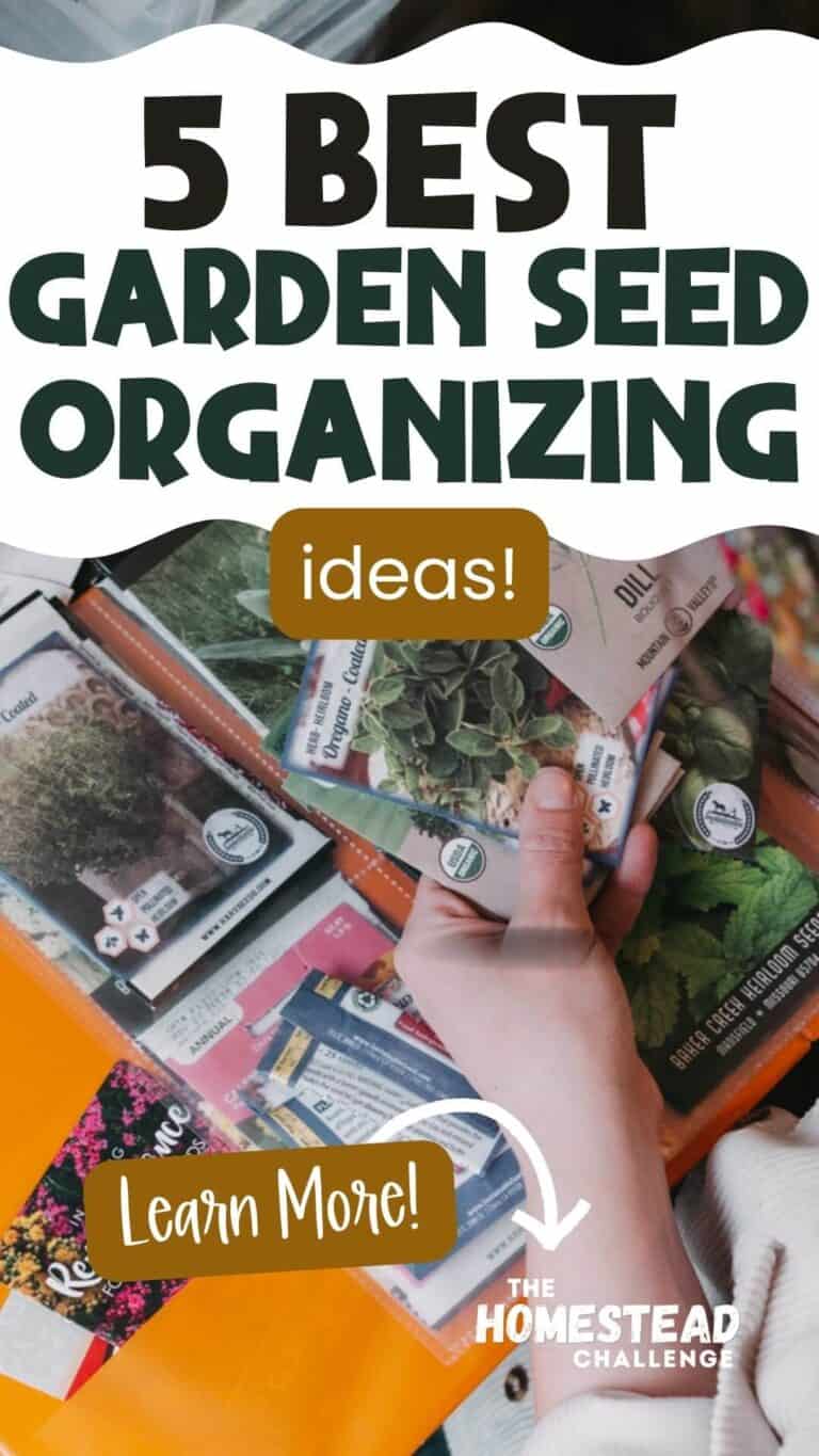 The Best Seed Organizing Ideas: Seed Systems and Storage - The ...