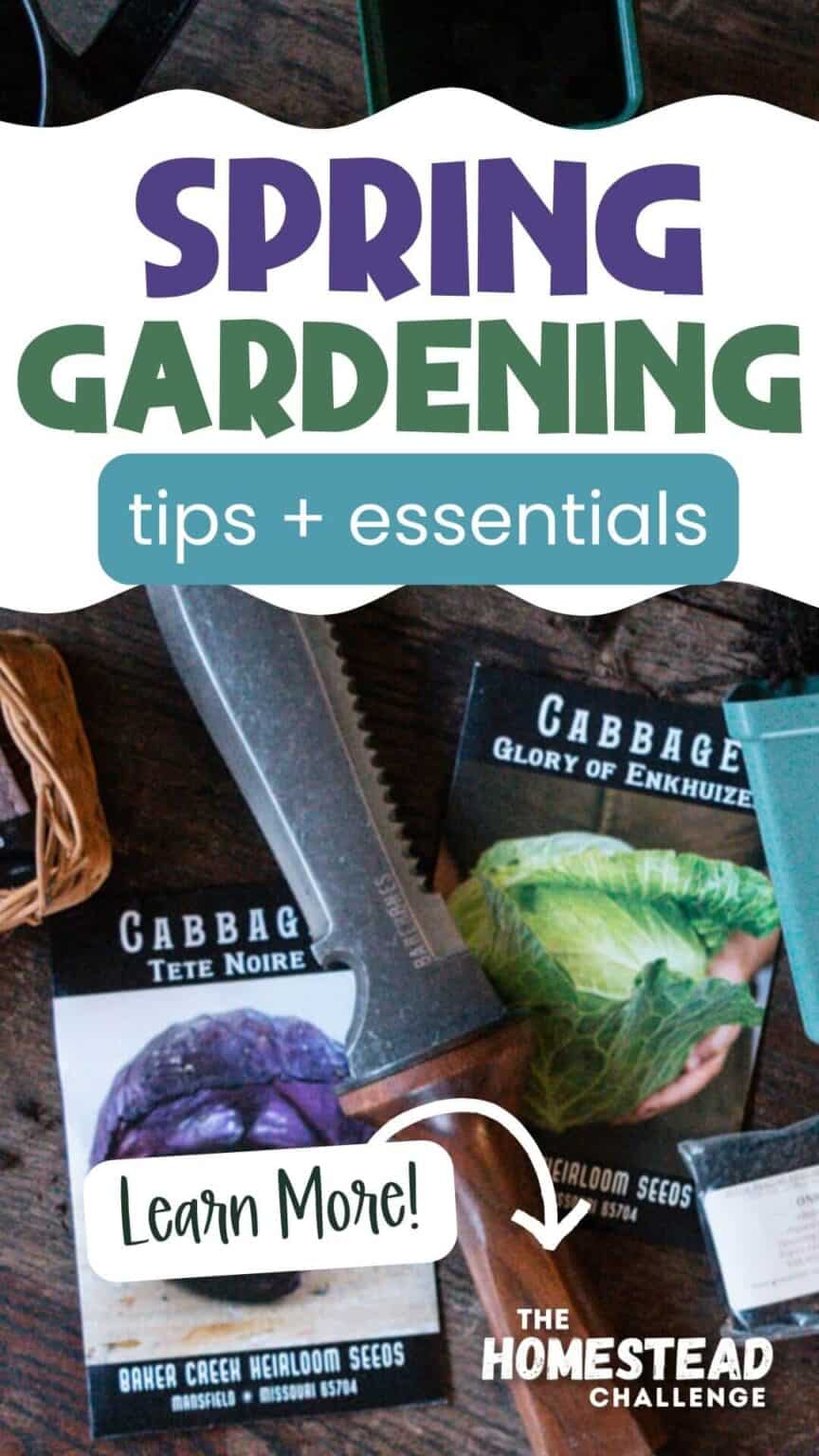 Early Spring Gardening Tips: Things You Can Do While It's Still Cold ...