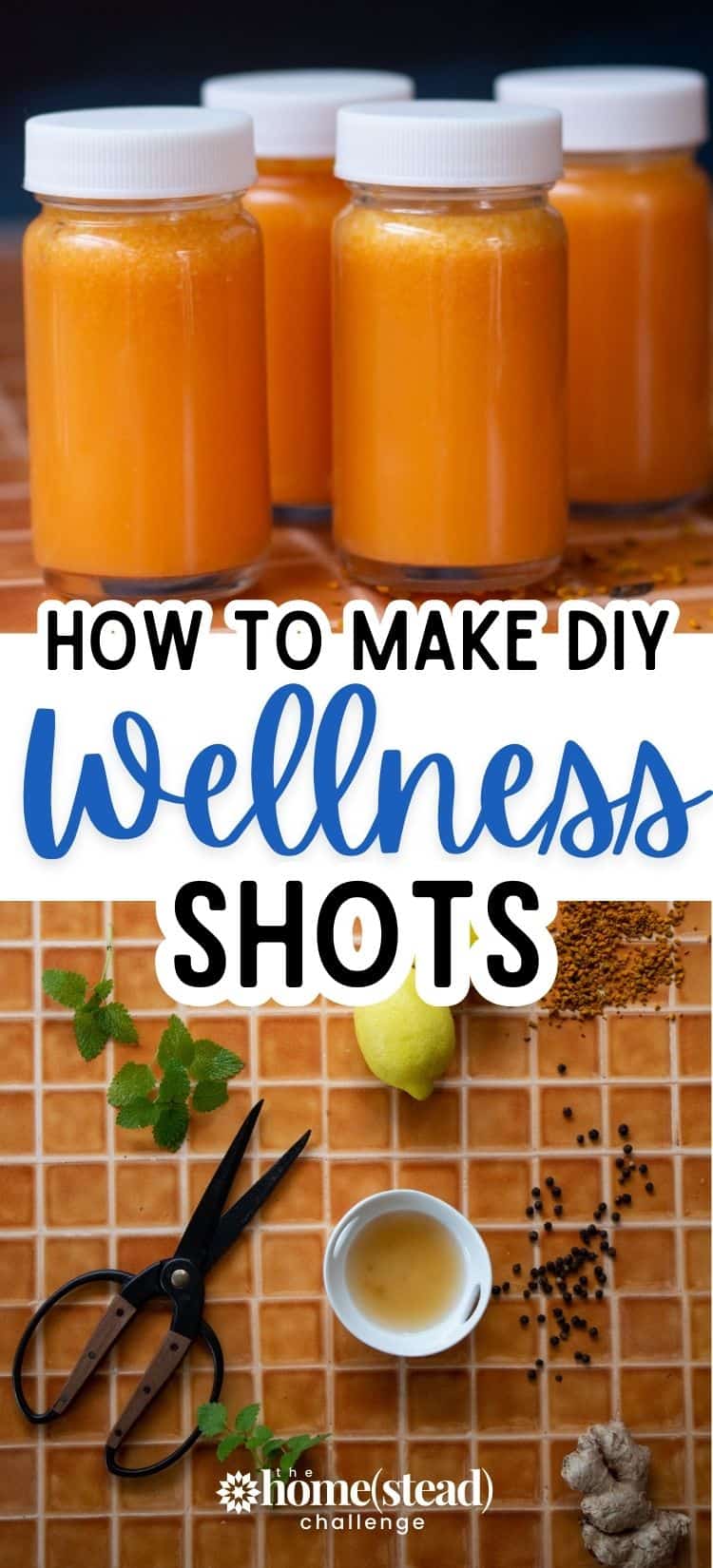 DIY Zesty Gut-Boosting Wellness Shot - The Homestead Challenge
