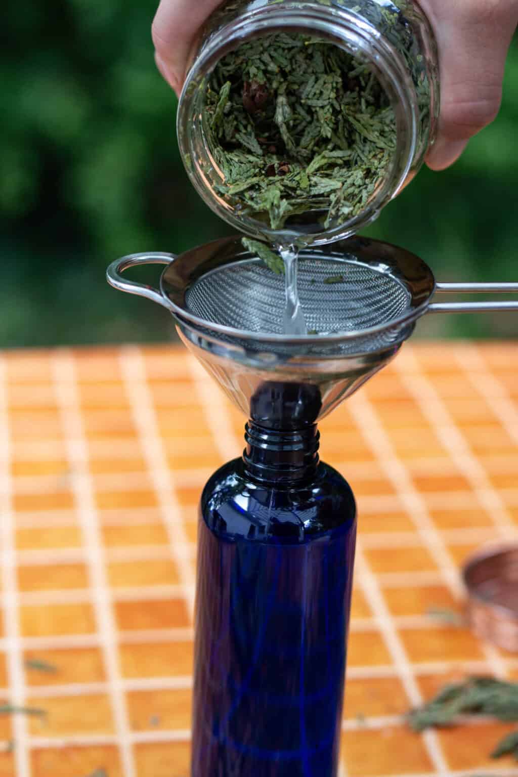 Easy DIY Cedar Face Toner for Acne Prone Skin - The Homestead Challenge
