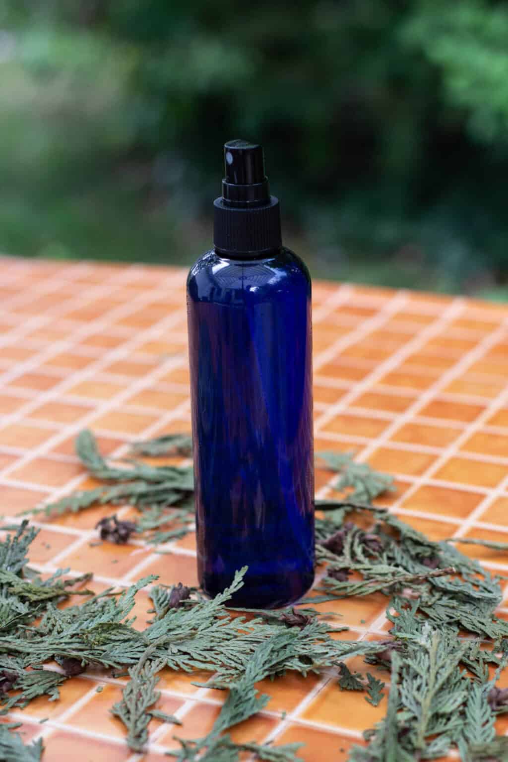 Easy DIY Cedar Face Toner for Acne Prone Skin - The Homestead Challenge