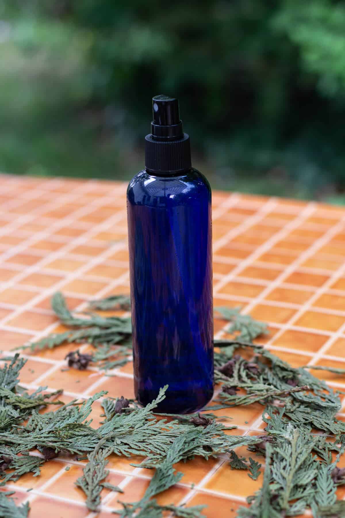 Easy DIY Cedar Face Toner for Acne Prone Skin - The Homestead Challenge