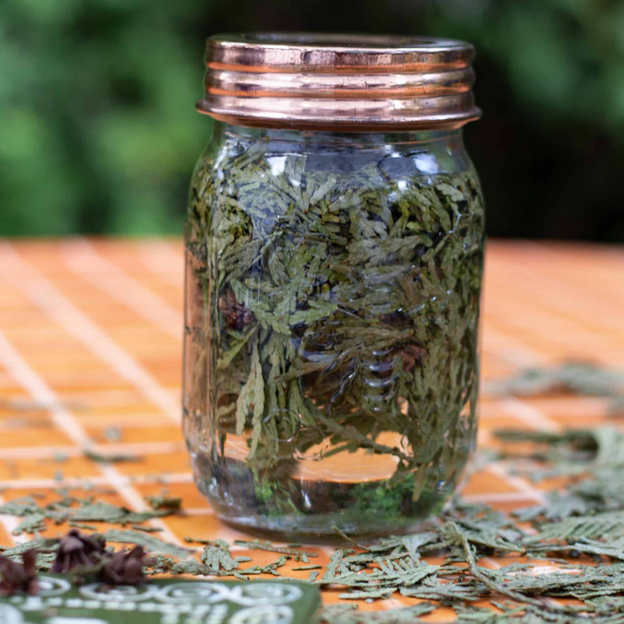 Easy DIY Cedar Face Toner for Acne Prone Skin - The Homestead Challenge