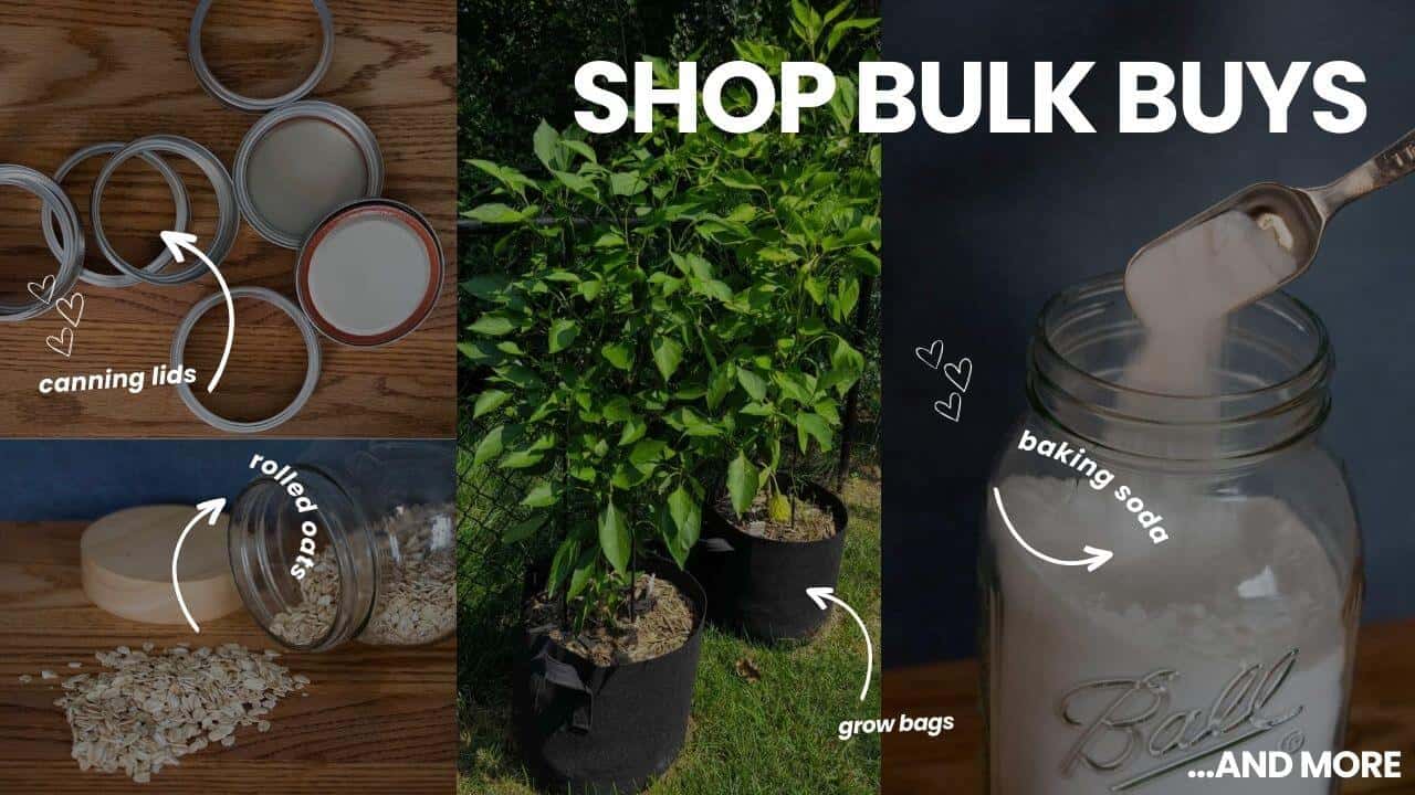 7 Favorite Homestead Bulk Buys on Amazon - The Homestead Challenge