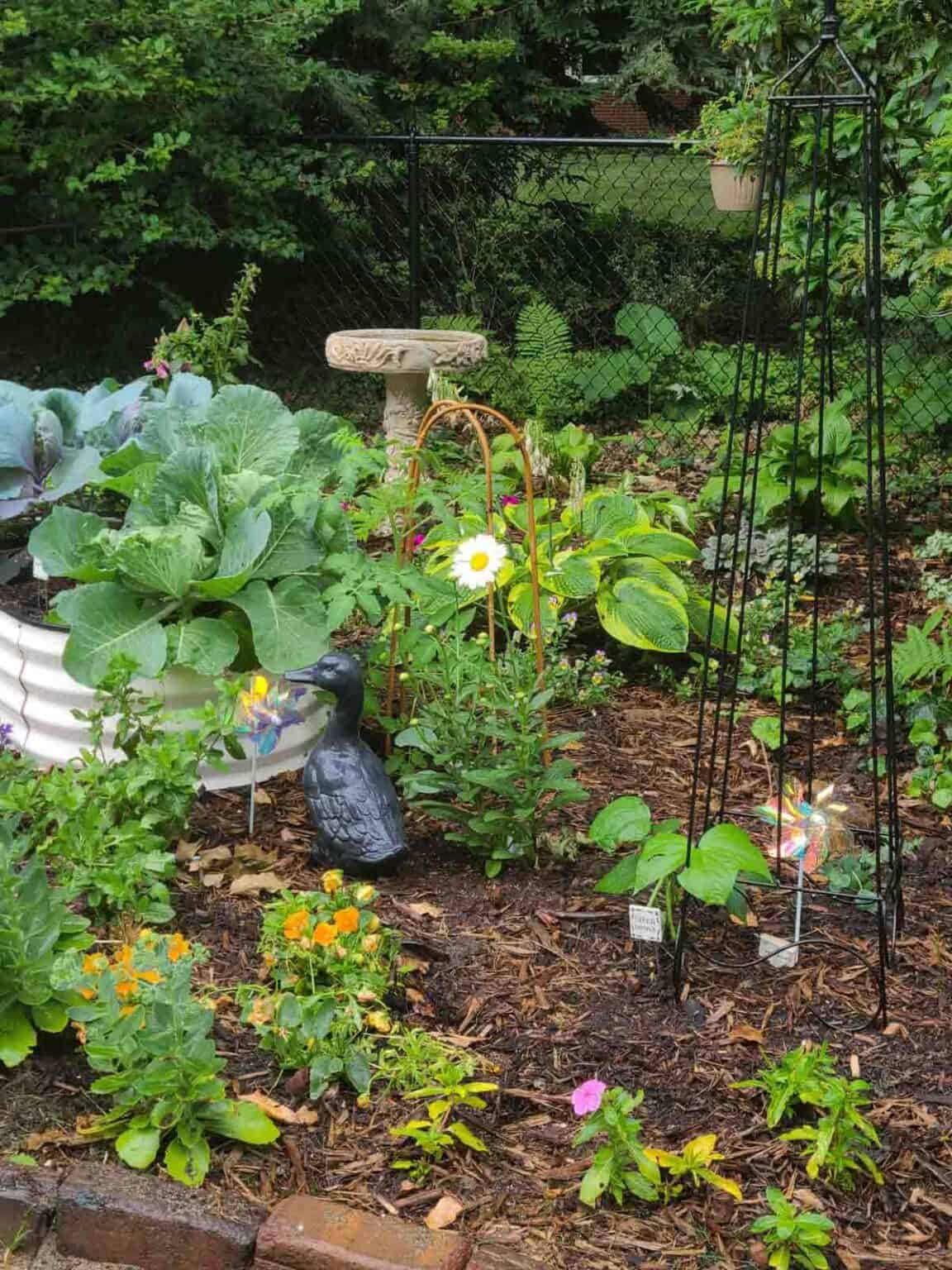 Companion Planting Tips for Beginners - The Homestead Challenge