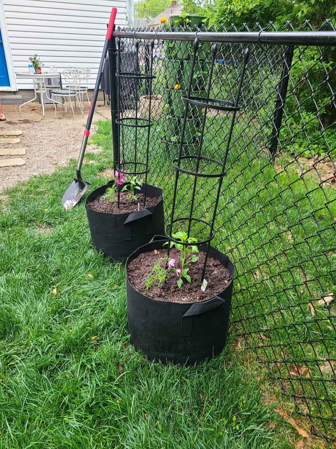 My Top 6 Budget Friendly Amazon Garden Finds for A New Garden - The ...
