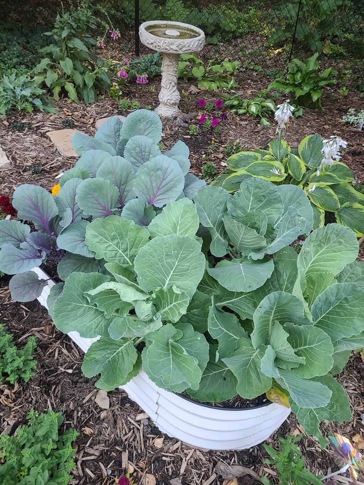 My Top 6 Budget Friendly Amazon Garden Finds for A New Garden - The ...