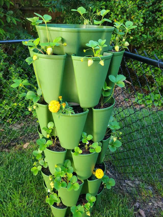 My Top 6 Budget Friendly Amazon Garden Finds for A New Garden - The ...