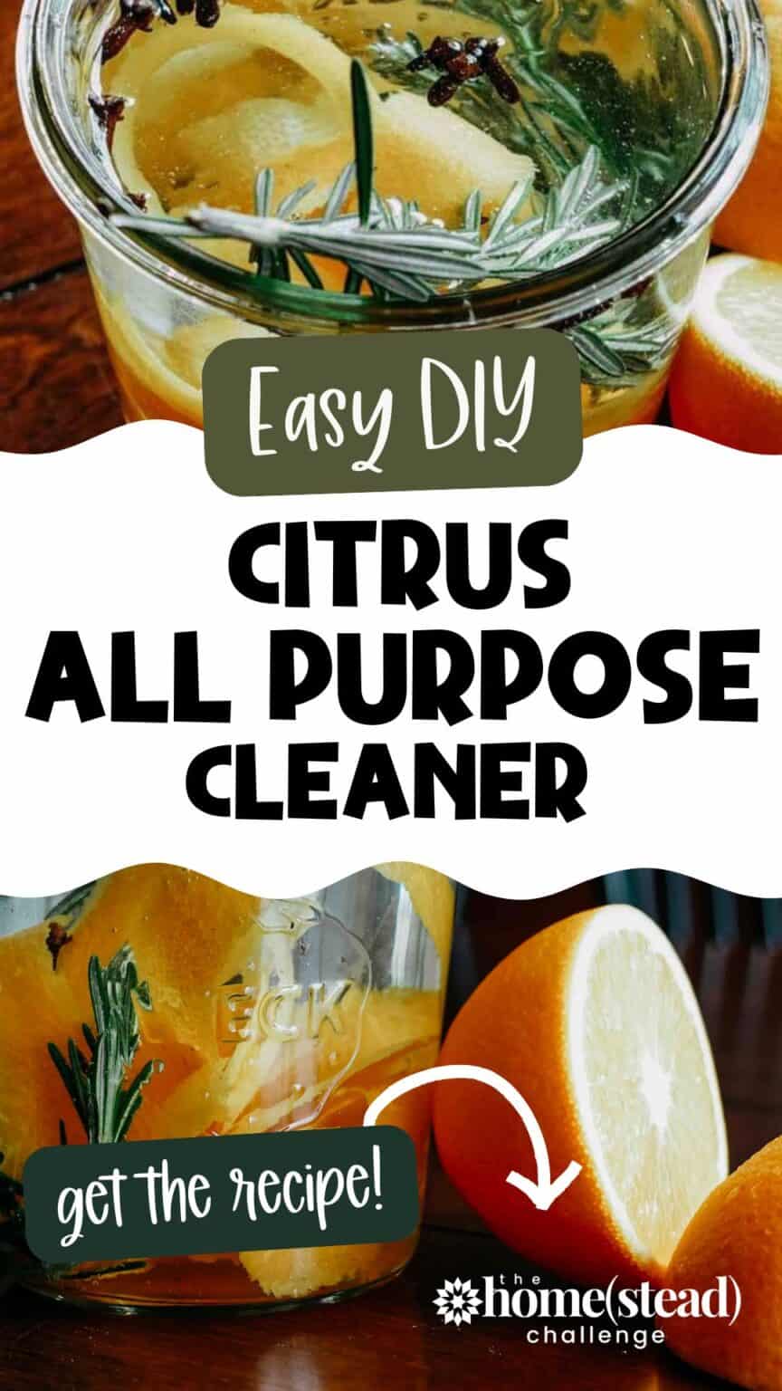DIY Non-Toxic Citrus All-Purpose Cleaner - The Homestead Challenge