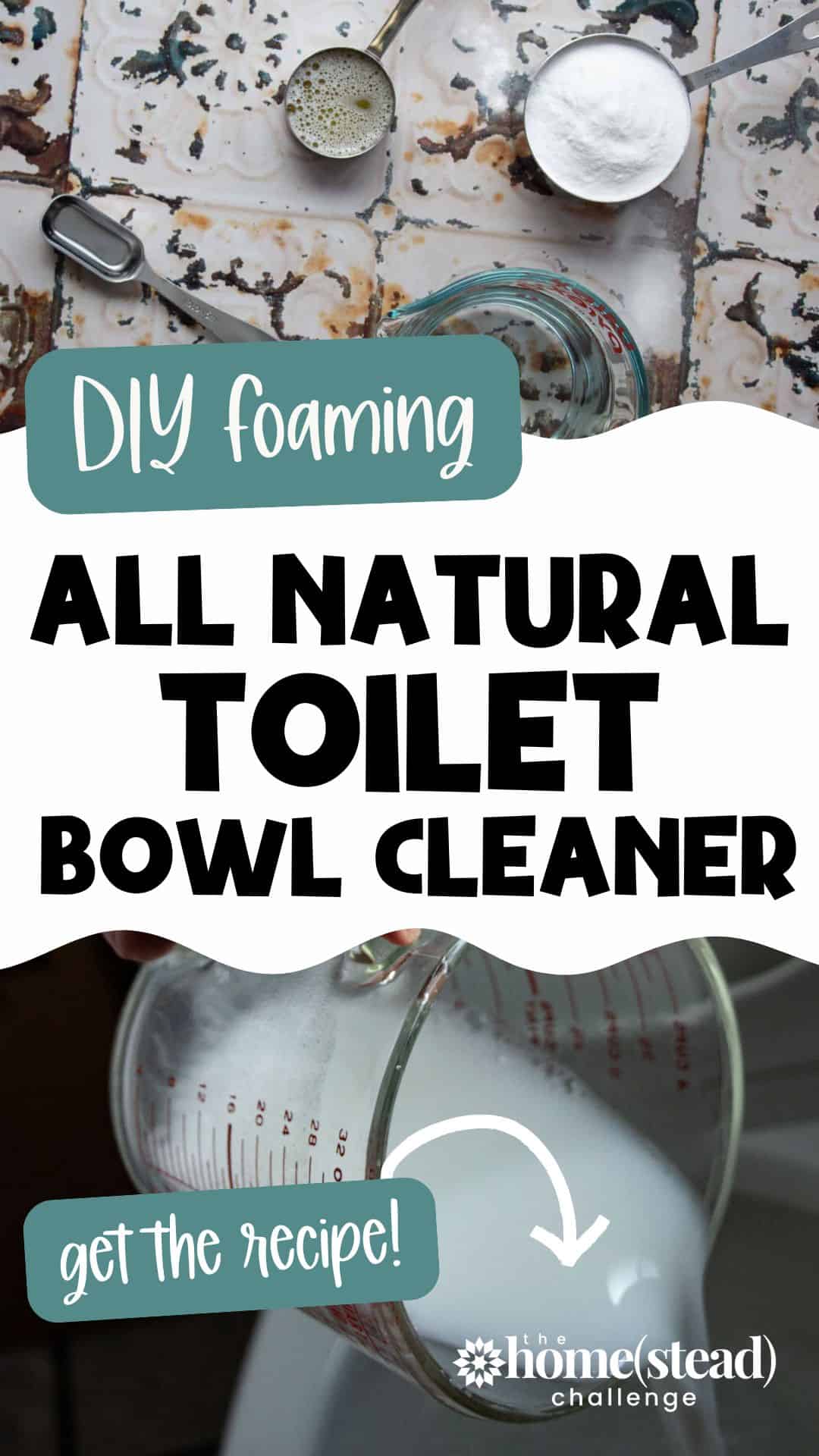 DIY Natural Foaming Toilet Bowl Cleaner That Actually Works - The ...