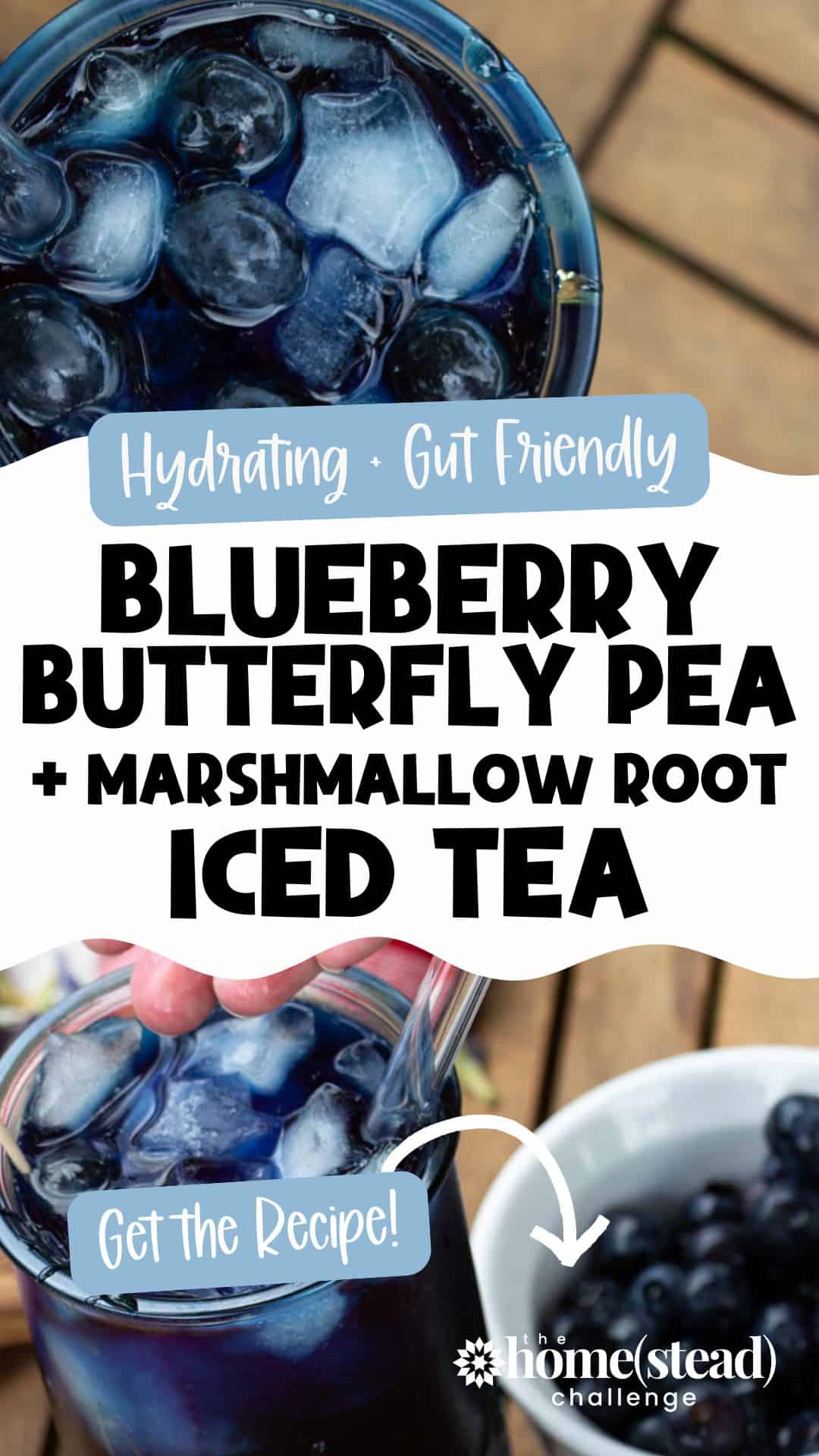 Blueberry Butterfly Pea Tea with Marshmallow Root for Gut Health + Hydration - The Homestead ...