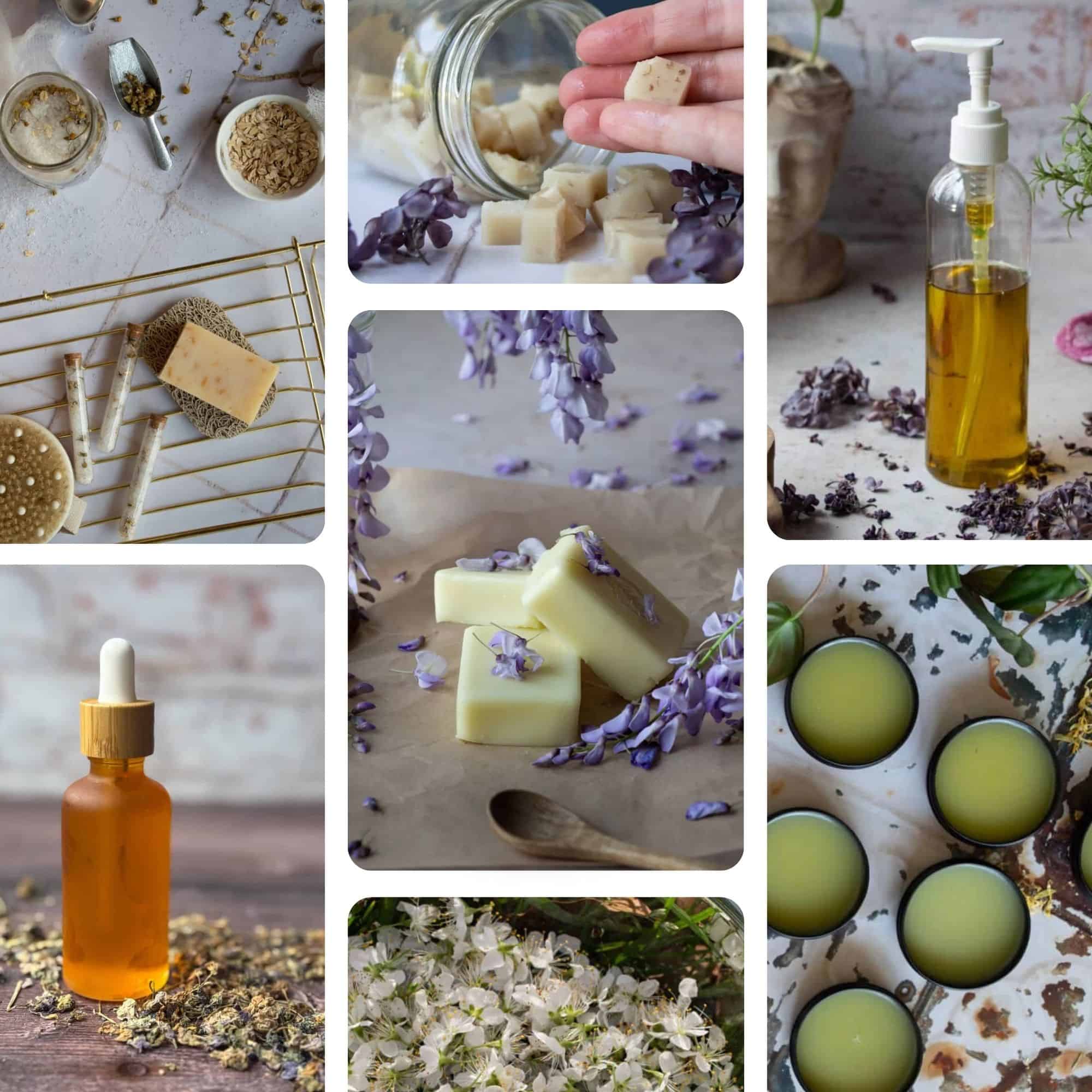 DIY Zesty Gut-Boosting Wellness Shot - The Homestead Challenge