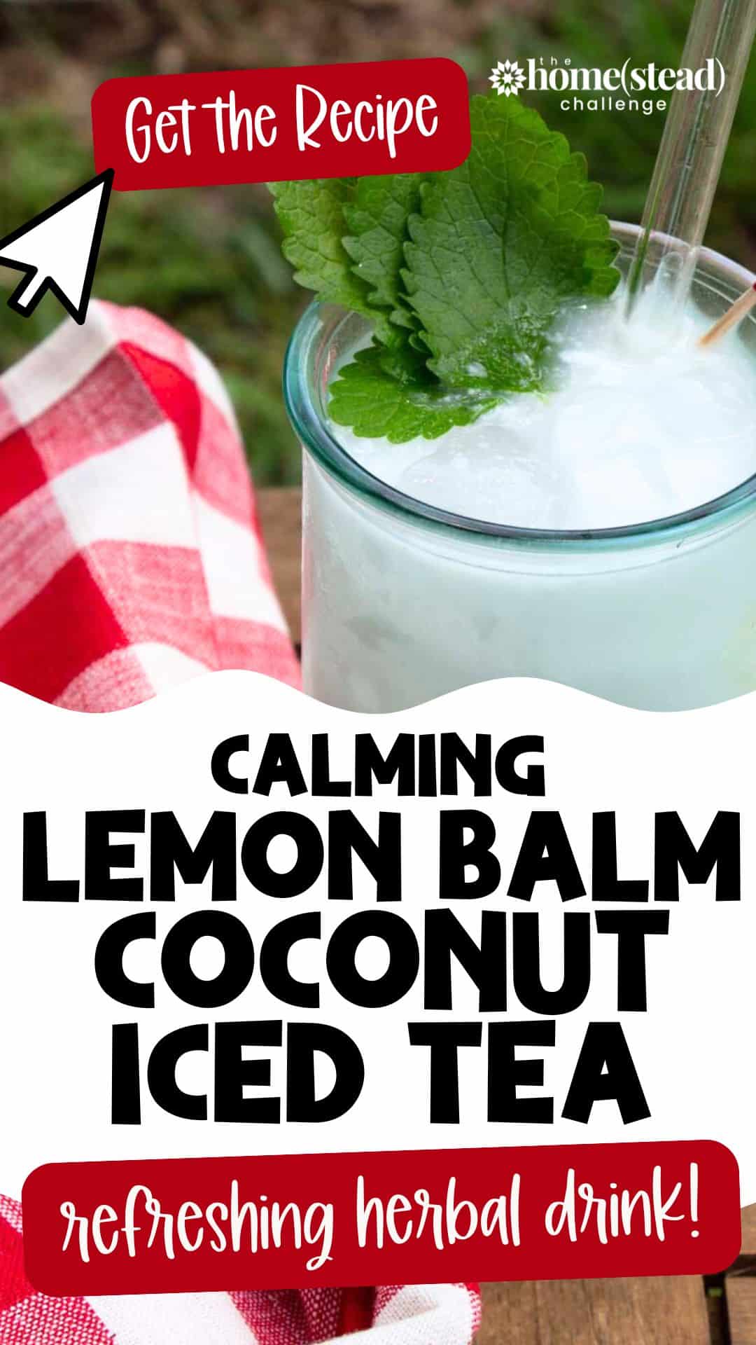 Calming Lemon Balm Coconut Thai Iced Tea Recipe - The Homestead Challenge