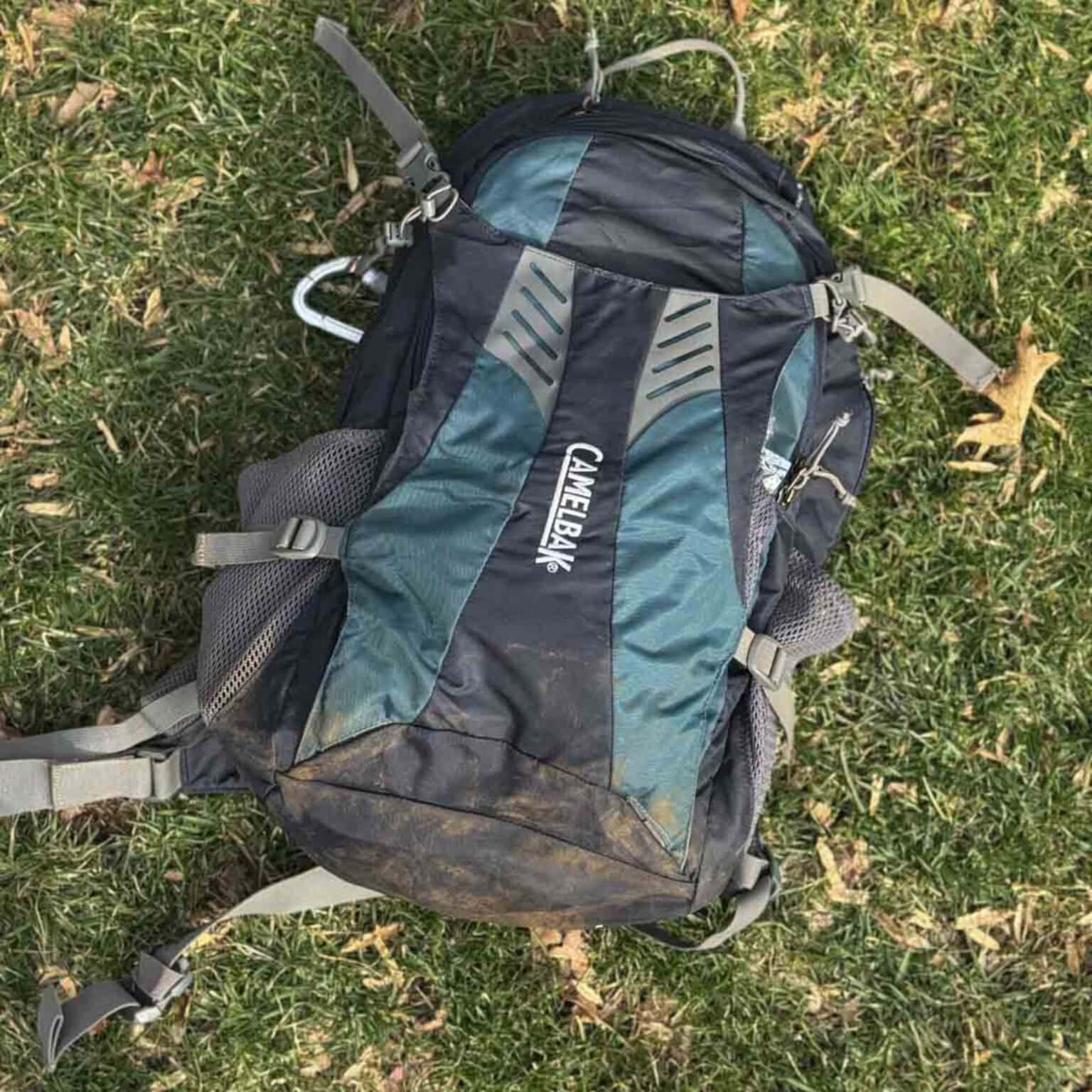 Safe and Effective Herbs for Kids (With Free Printable) - The Homestead ...