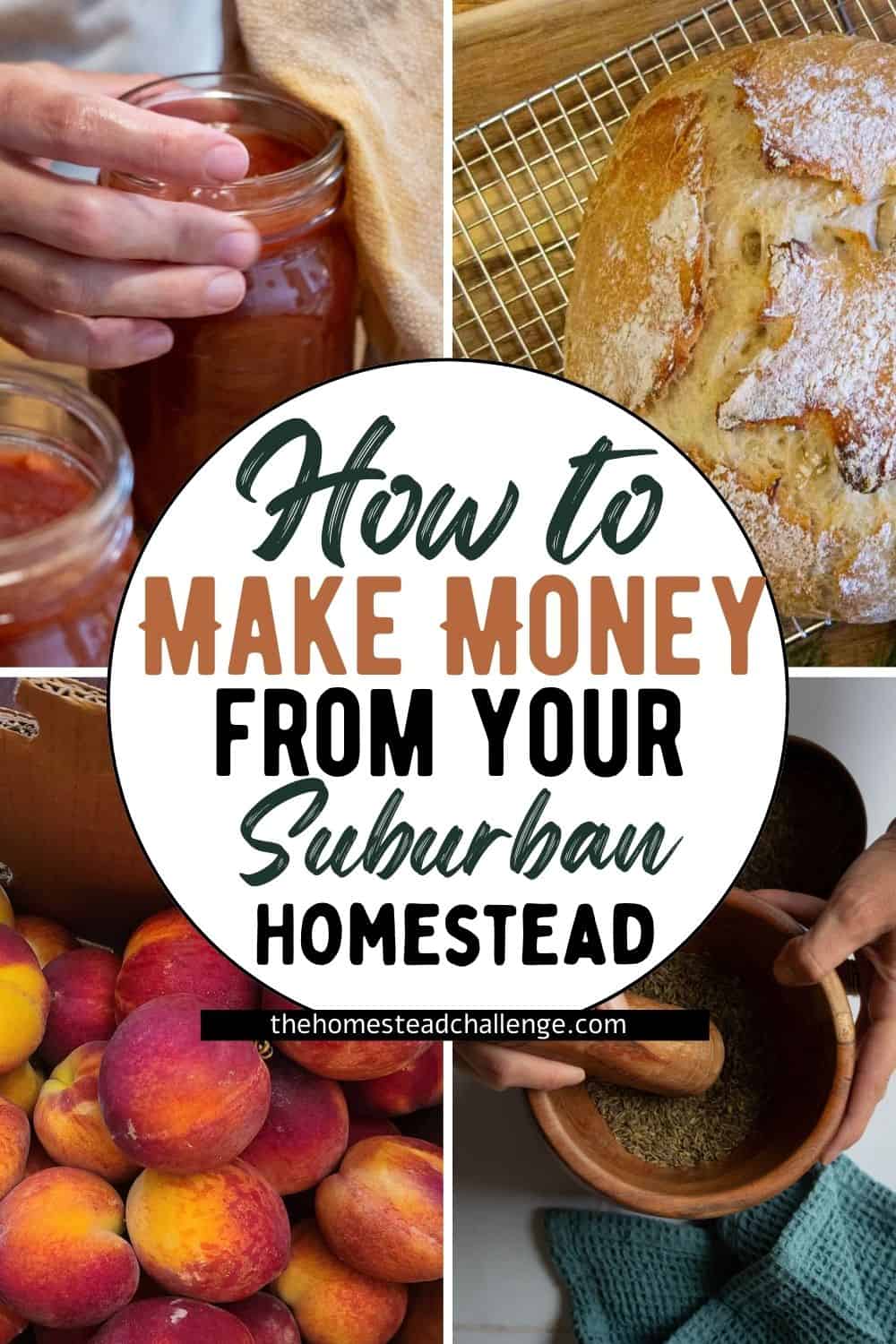 Suburban Homesteading Business Ideas: Make Money from Your Mini ...