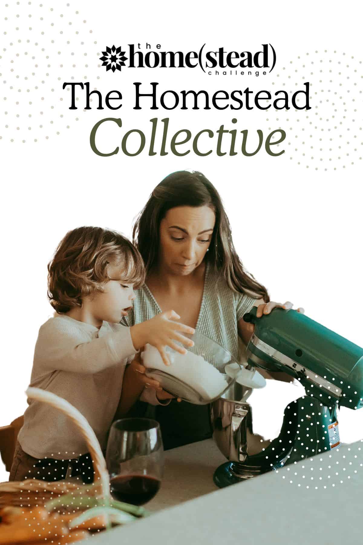 Homestead Goal Setting for 2025 (with Free Printable Goal Planner ...
