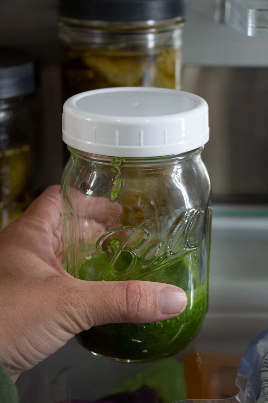 How to Make Chive-Infused Olive Oil the Easy Way - The Homestead Challenge