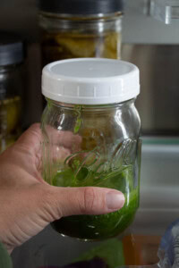 How to Make Chive-Infused Olive Oil the Easy Way - The Homestead Challenge