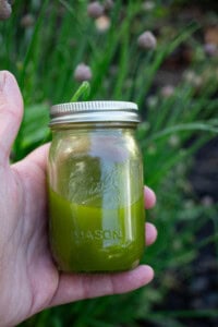 How to Make Chive-Infused Olive Oil the Easy Way - The Homestead Challenge