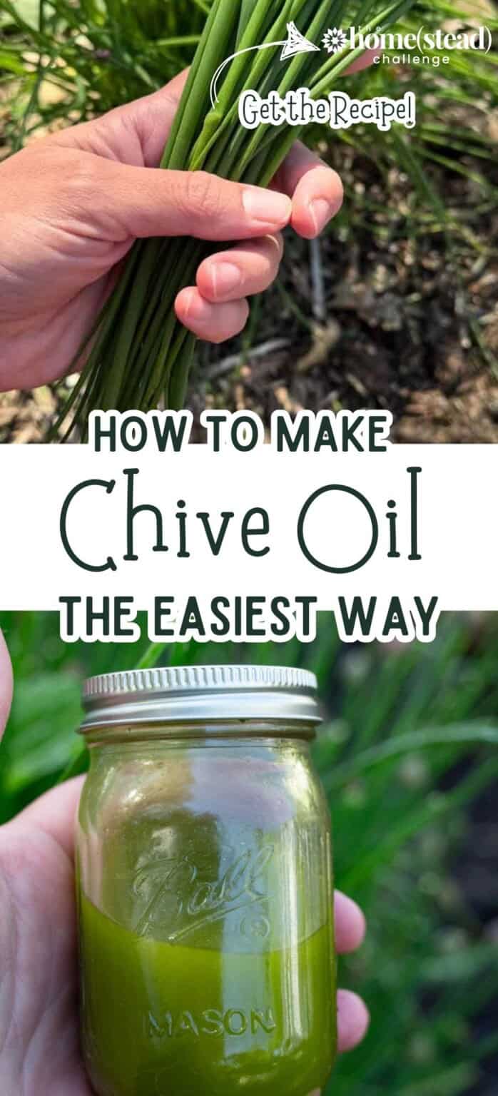 How to Make Chive-Infused Olive Oil the Easy Way - The Homestead Challenge