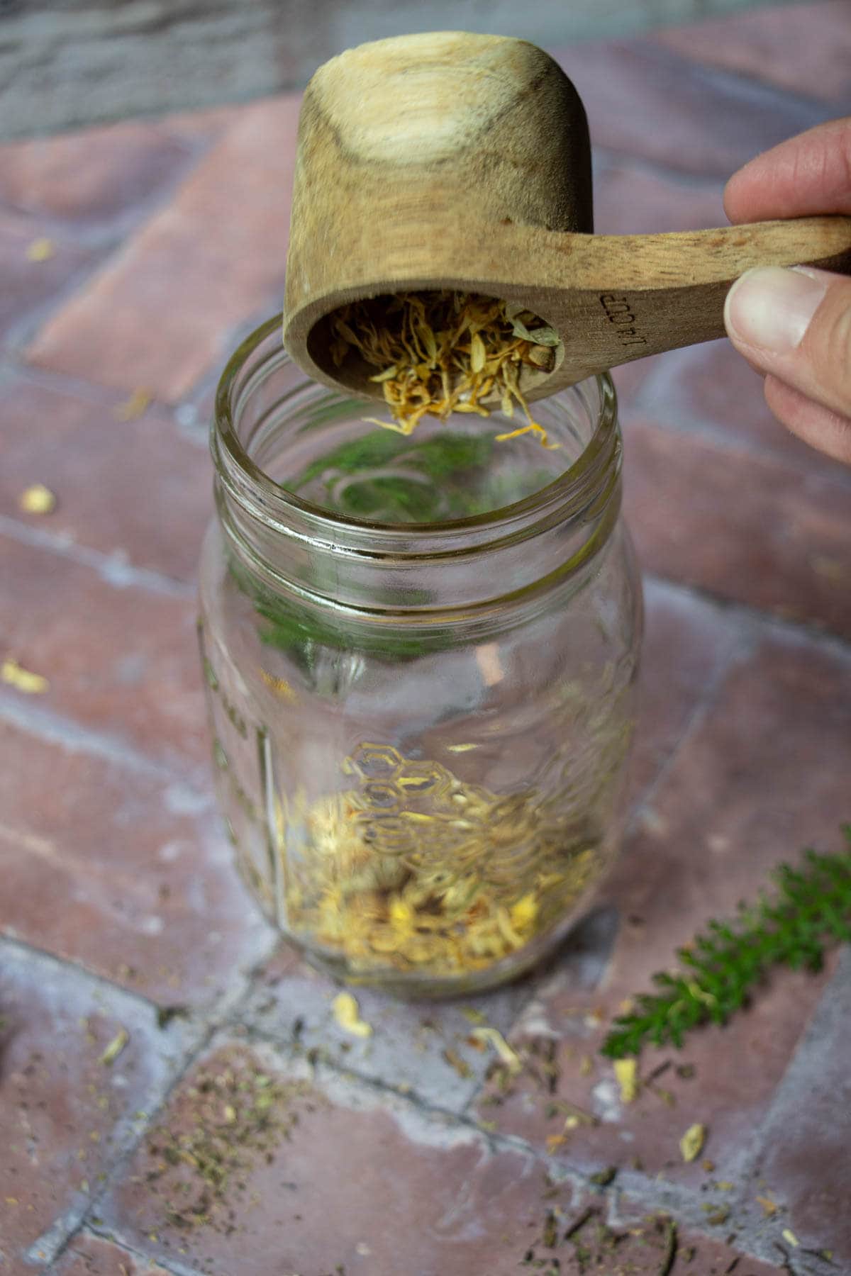 DIY Herbal Wound Healing Salve with Yarrow, Plantain & Calendula - The ...