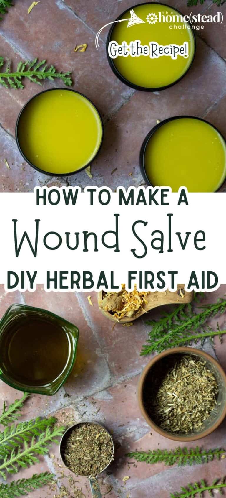DIY Herbal Wound Healing Salve with Yarrow, Plantain & Calendula - The ...