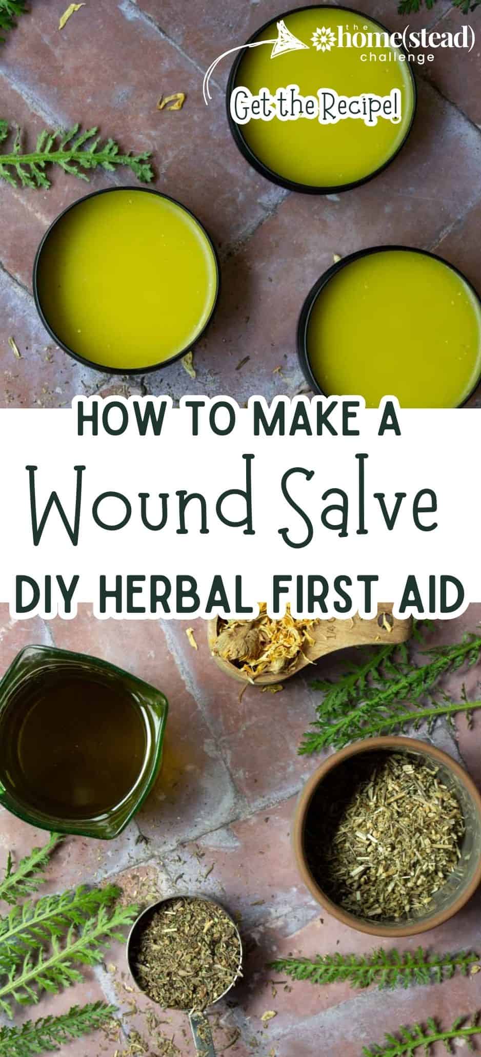 DIY Herbal Wound Healing Salve with Yarrow, Plantain & Calendula - The ...