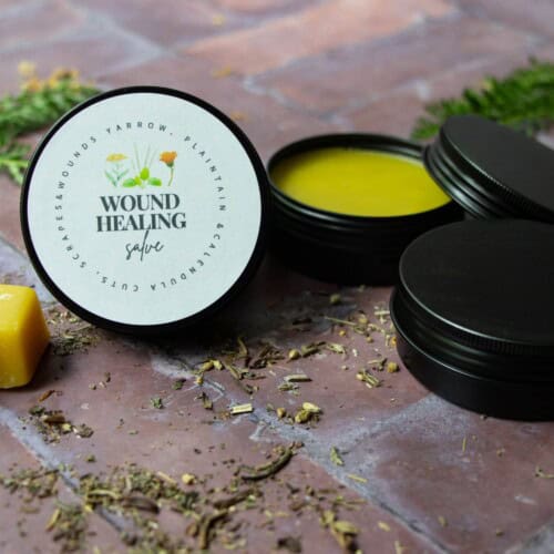 Drying Peaches: A Simple and Easy Guide for Beginners - The Homestead ...