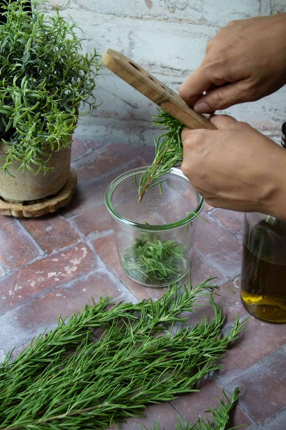 How to Make Rosemary Oil (For Scalp Health + More) - The Homestead ...